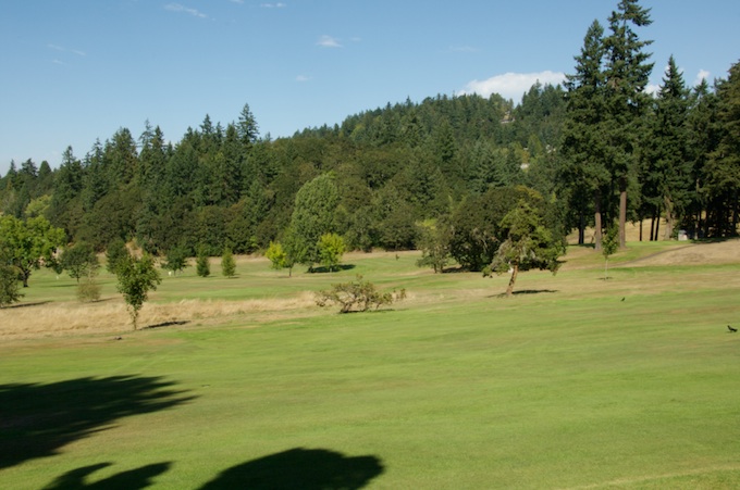 Stock--Eugene Parks - 07-d012-060