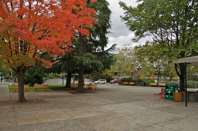 Stock--Eugene Parks - 07-d014-110